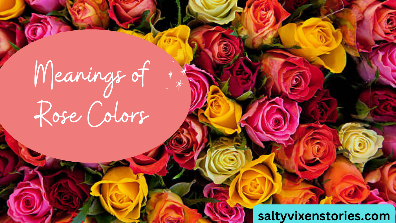 Meanings of Rose Colors - Salty Vixen Lifestyle Magazine