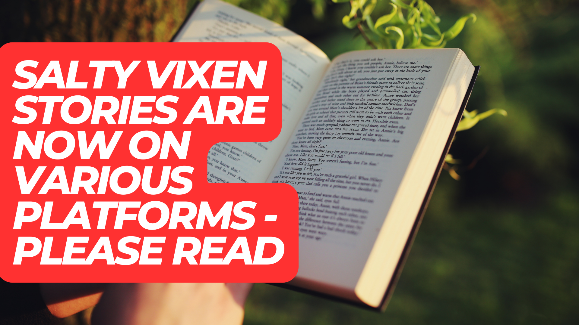 Salty Vixen Stories Are Now On Various Platforms Salty Vixen Official