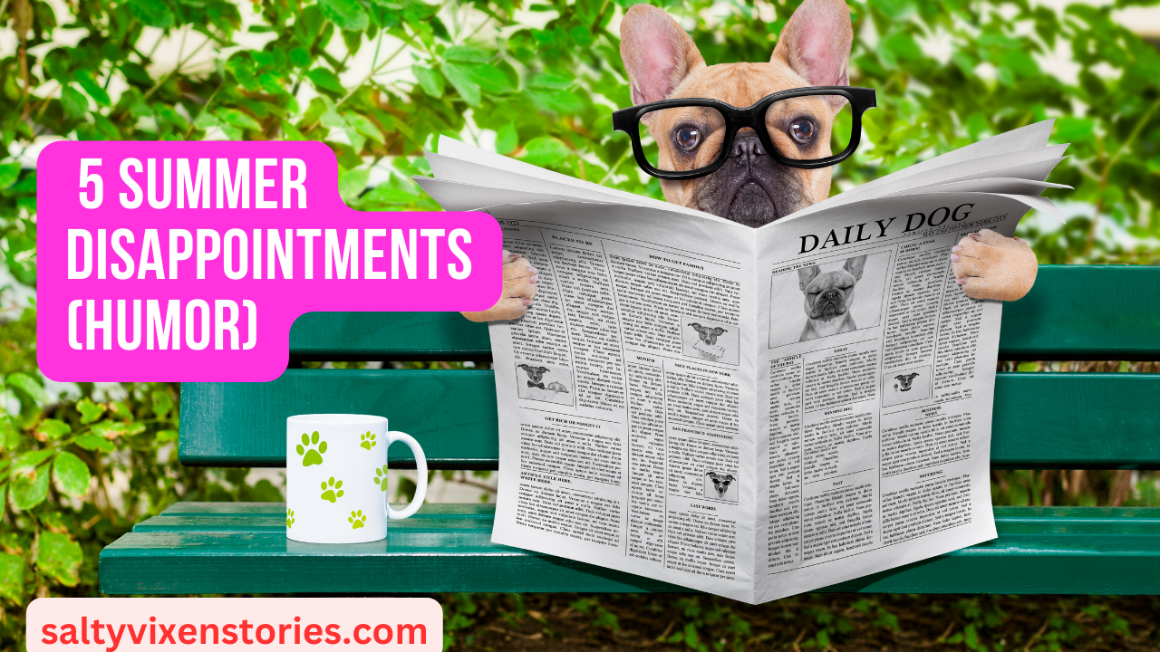 5 Summer Disappointments Humor Salty Vixen Official Website Spicy Audio Stories Music 