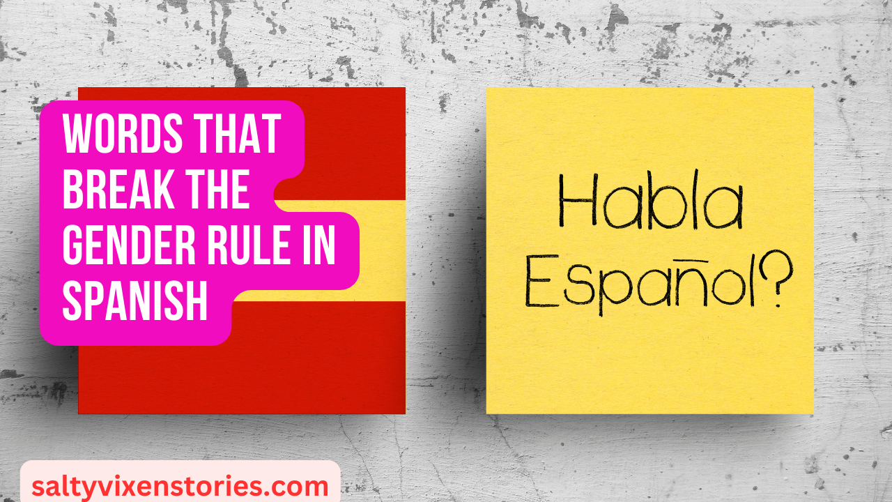 Words that Break the Gender Rule in Spanish - Salty Vixen Lifestyle ...