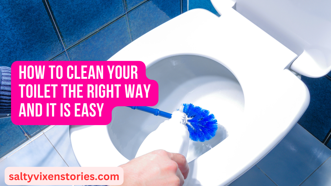 How to Clean your Toilet the Right Way and it is easy - Salty Vixen ...