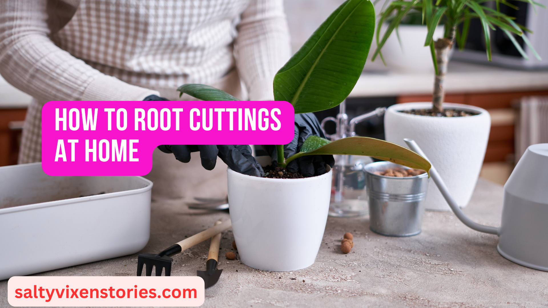 How to Root Cuttings at Home - Salty Vixen Lifestyle Magazine