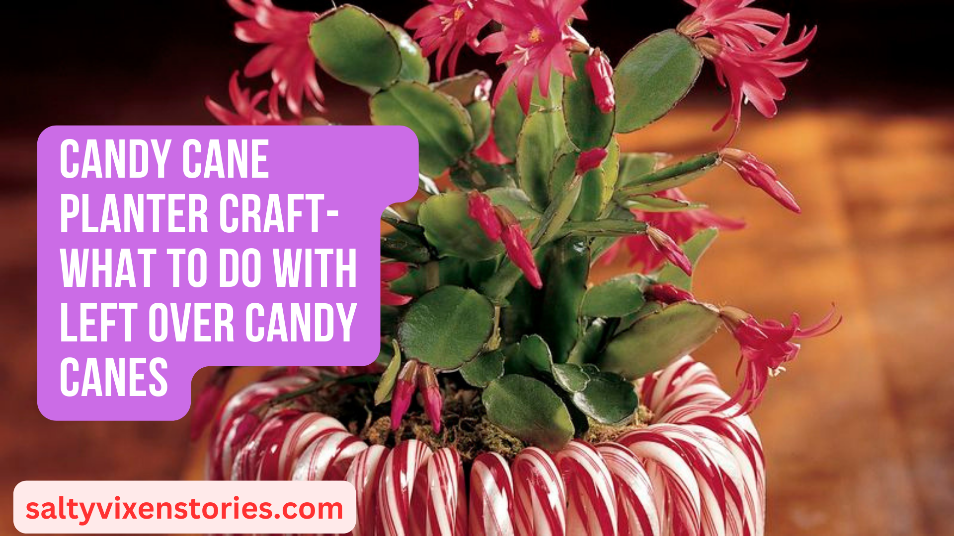 Candy Cane Planter Craft- What to do with left over candy canes - Salty ...